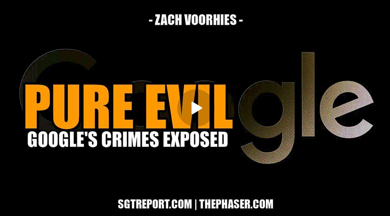 PURE EVIL: GOOGLE IS GOING DOWN - Zach Voorhies - HopeGirl Blog
