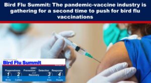 Bird Flu Summit: The pandemic-vaccine industry is gathering for a ...