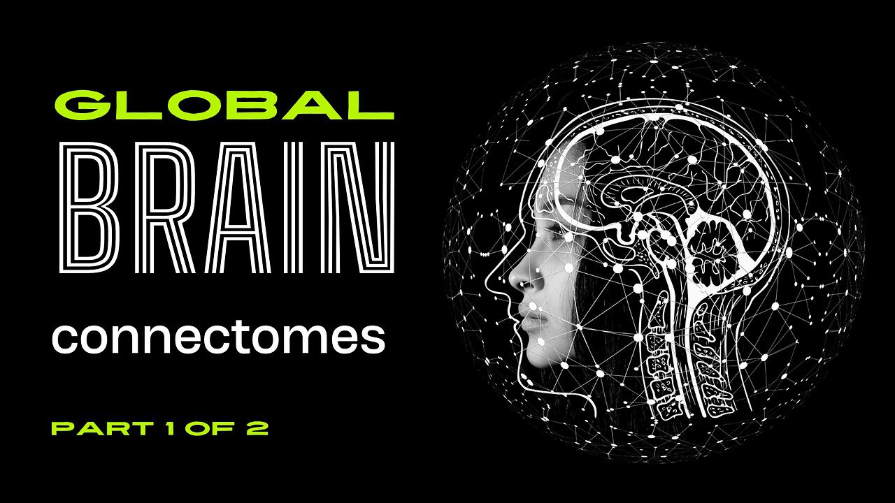 brain connectomes part 1 - HopeGirl Blog