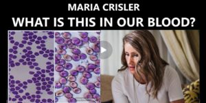 Maria Crisler – Raising Frequency Via Organic And Synthetic Parasitic ...