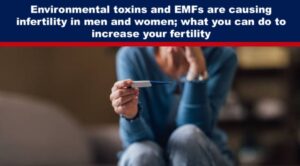 Environmental toxins and EMFs are causing infertility in men and women ...